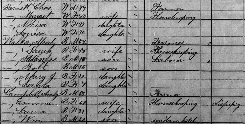 Alfred Walker - Asheville Museum of History