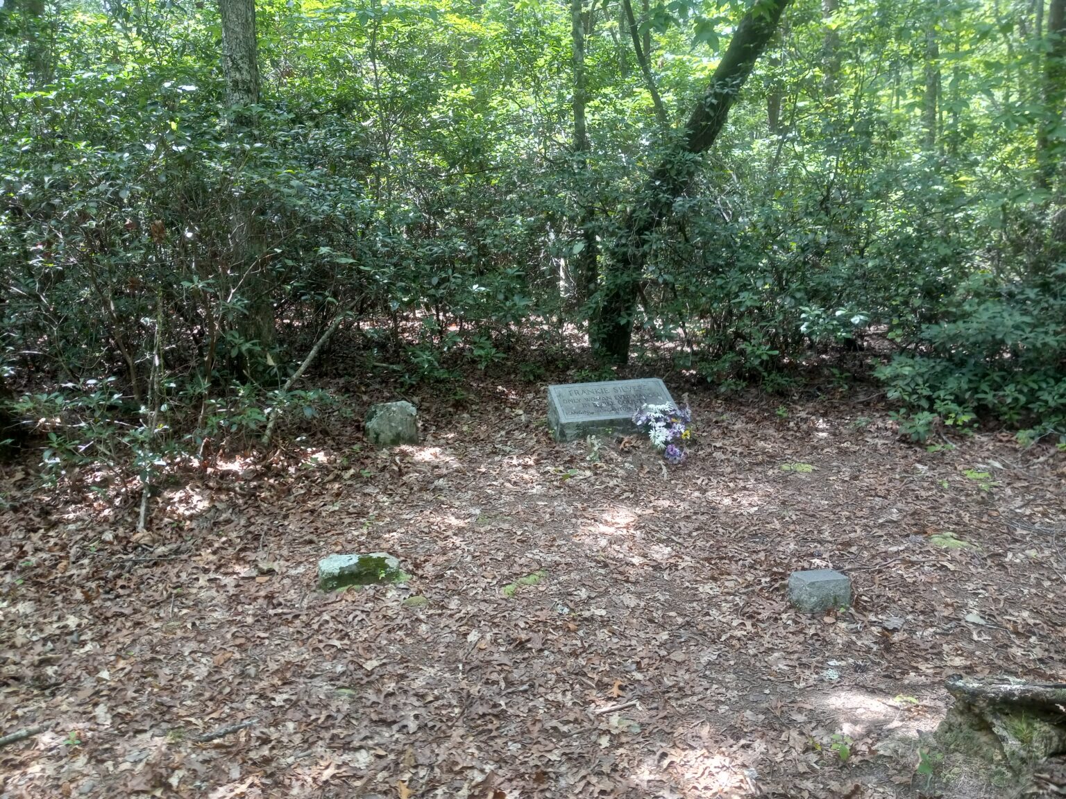 Quaker Meadows Cemetery and Frances “Frankie” Silver Burial - Asheville ...